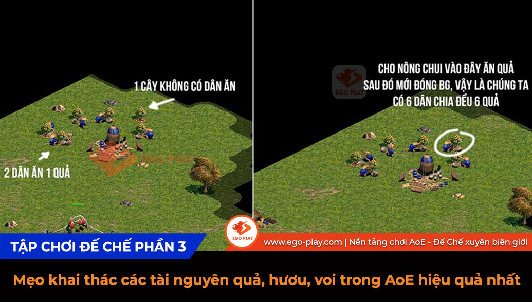 Tập Chơi Đế Chế (P3): Mẹo khai thác các tài nguyên quả, hươu, voi trong AoE hiệu quả nhất